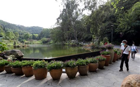深圳仙湖植物园开园迎客 市民有序游园赏春深圳新闻网
