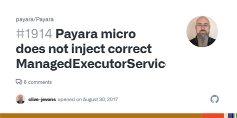 Payara Micro Does Not Inject Correct Managedexecutorservice · Issue