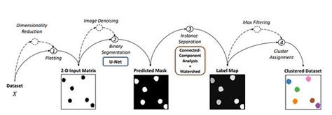 Shivani Pathak On Linkedin Clustering Plotted Data By Image Segmentation