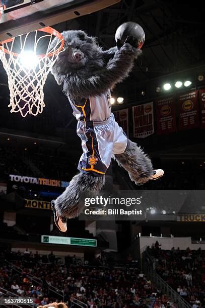 Grizzlies Mascot Photos And Premium High Res Pictures Getty Images