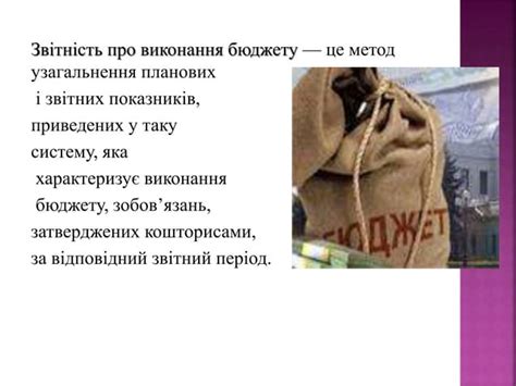 поняття звітності бюджетних установ Pptx