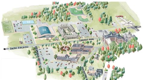 Neumann University Sample Diagram Quizlet