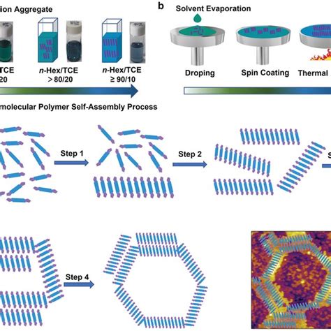 Understanding Self‐assembly Of Molecular Monolayers A Single Molecule Download Scientific