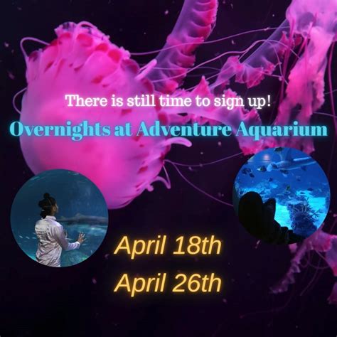 Center For Aquatic Sciences Center For Aquatic Sciences