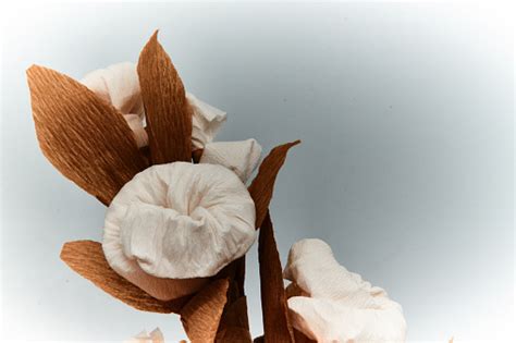 꽃의 꽃다발은 흰색 및 흐린 배경에 절연 선물 종이로 만든 4월에 대한 스톡 사진 및 기타 이미지 4월 갈색 꽃 나무 Istock