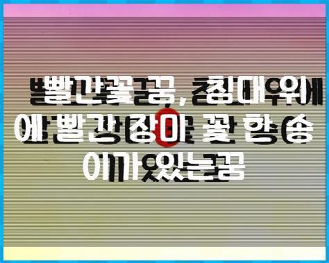 빨간꽃 꿈 침대 위에 빨간 장미 꽃 한 송이가 있는꿈