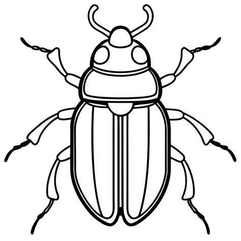 Beetles Illustration Line Art 50997379 Vector Art At Vecteezy