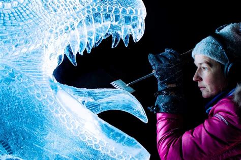 Zwolle 네덜란드 얼음 조각 축제 티켓 클룩 Klook 한국