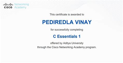 cprogramming cisconetworkingacademy learning technology mentorship