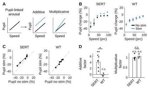 The Effects Of Drn 5 Ht Photostimulation Are Not Specific To Download Scientific Diagram