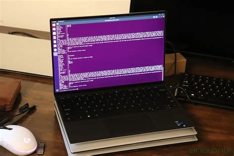 Phoronix Intel Xe Graphics Incredible Performance Uplift From Opencl To Oneapi Level Zero To