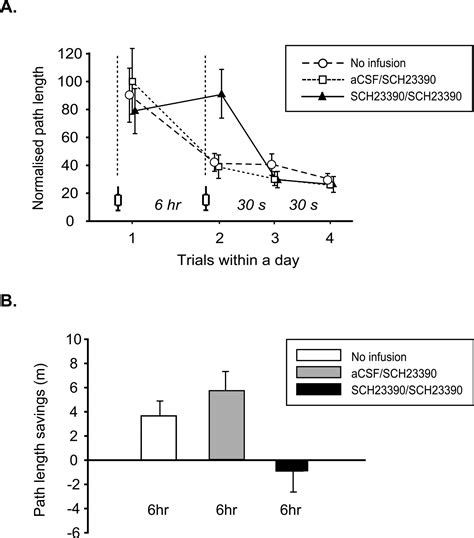 Dopaminergic Modulation Of The Persistence Of One Trial Hippocampus
