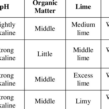 Soil Analysis Results Of Research Locations Download Scientific Diagram
