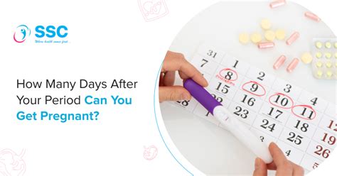 Menstrual And Pregnancy How Many Days After Your Period Can You Get