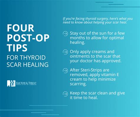 Ear Nose And Throat Thyroid Surgery Scars Everything You Need To Know