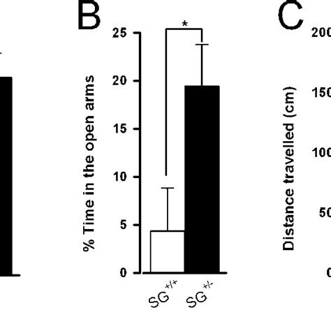 Spontaneous Locomotor Activity In The Open Field Test A Locomotor
