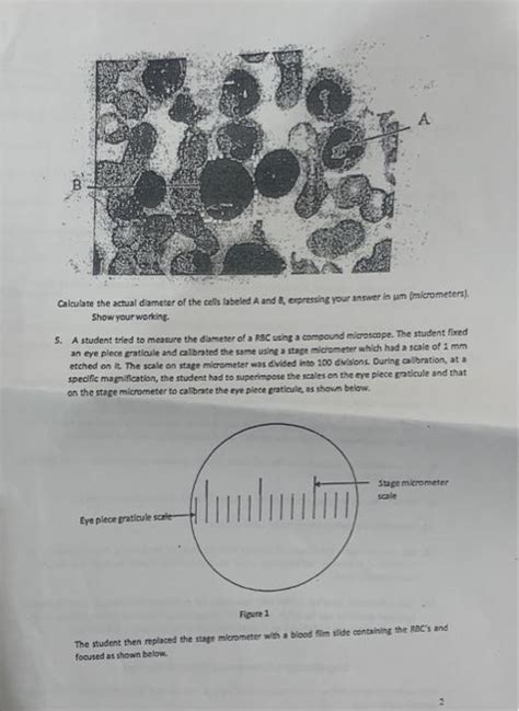 Solved Magnification And Micrometry Practical Exercise The Chegg