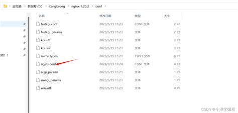 如何解决nginx启动出现闪退问题？nginx闪退 Csdn博客