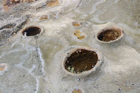 Dudley Beach Fossilised Forest Destinations Journey