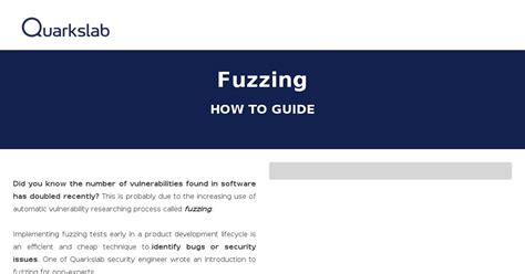 Guide Fuzzing