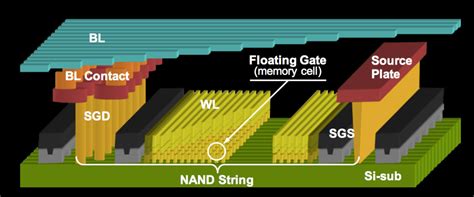 Nand Architecture Strings And Arrays Electronics Engineering