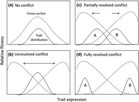 Theoretical Graph Of Trait Distributions And Optimal Fitness Curves