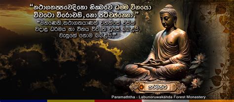 ධම්මපදය Dhammapadaya මහා සංඝරත්නය 🙏 සරසවි සිසුන් ️ පාරට බැහැල නම් ඔබ අධාර්මික පාලනයට