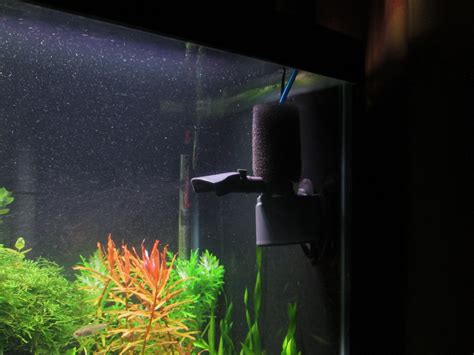 Diy Diffuser For Diy C02 The Planted Tank Forum