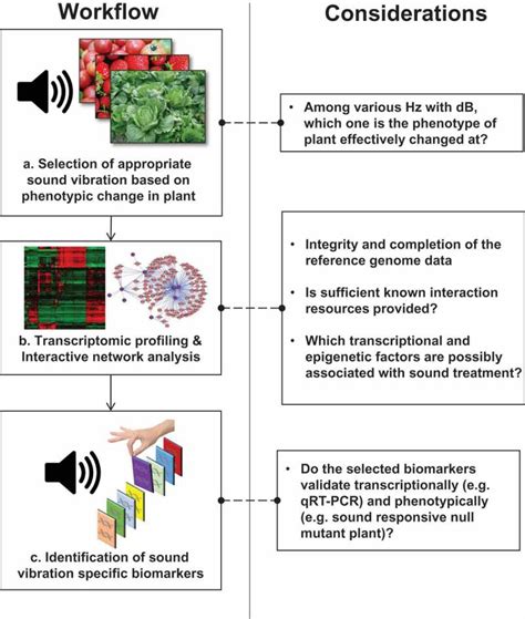 How Do We Know That Plants Listen Advancements And Limitations Of Transcriptomic Profiling For
