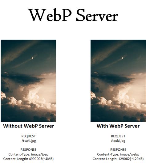 Ci Https Github Com Webp Sh Webp Server Go Actions Workflows Ci Yaml Badge Svg Https Github Com