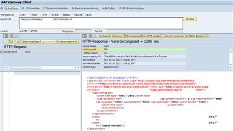 Transport Sap Gateway Odata Service System Alias Its Full Of Stars