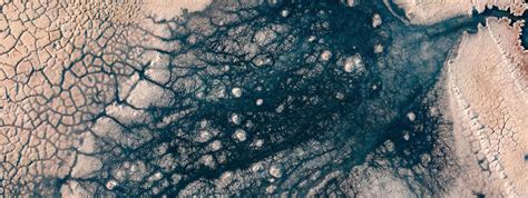 Gene Key 7 Virtue Gene Keys