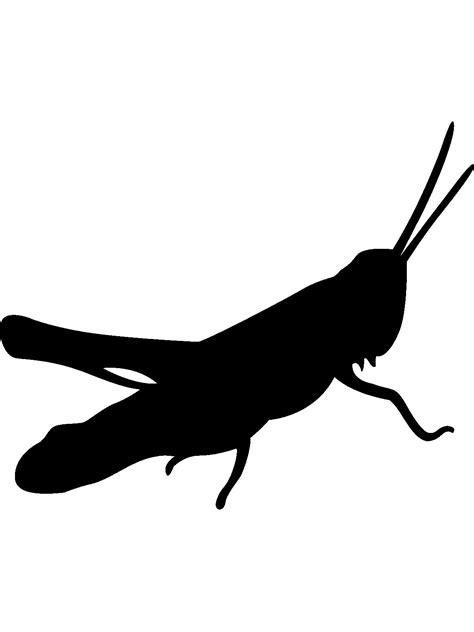 Free Printable Grasshopper Stencils And Templates