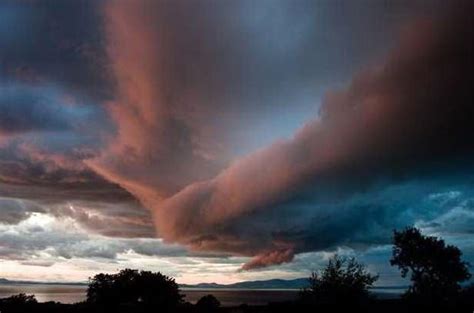 2016新年献辞：我将开口，同时感到充实 知乎