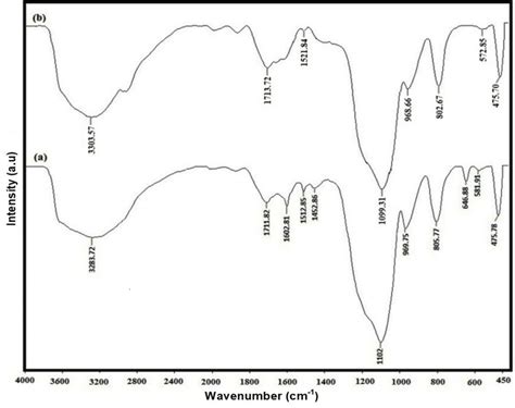 Ftir Spectra Of A Cstarsio2‐tfoh And B Cstarsio2 Download