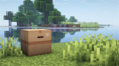 Variety Things Minecraft Mods Curseforge