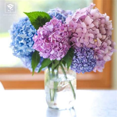 خرید گل هدیه