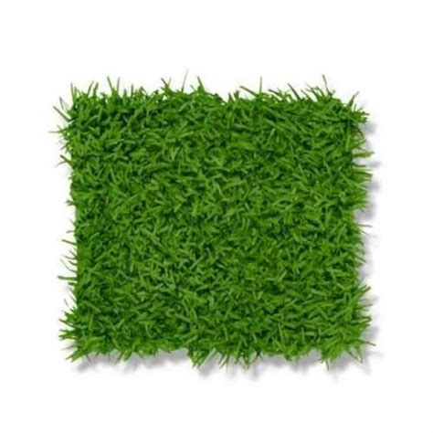 Pvc Plain Green Grass Mat 35mm At Rs 40square Feet In Hyderabad Id