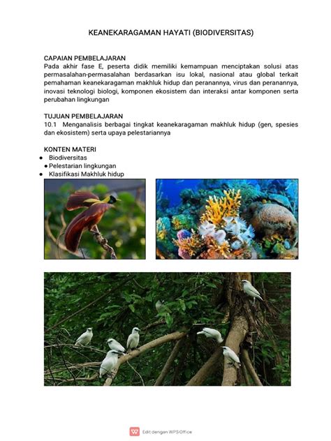 Biodiversitas 1 Pdf