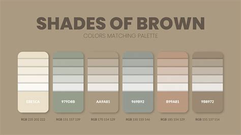 Color Palette In Shades Of Brown Colour Theme Collections Color
