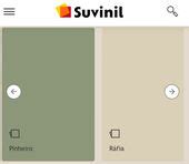 Cores Que Combinam Com Verde Menta