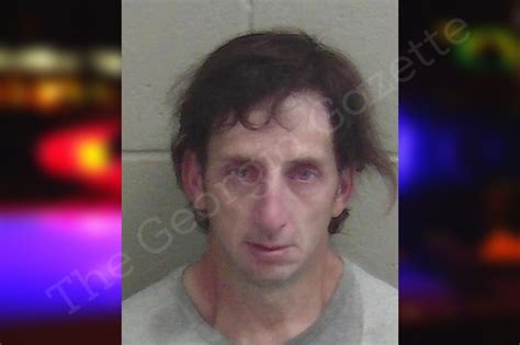 David Shaut — Wayne County Jail Bookings