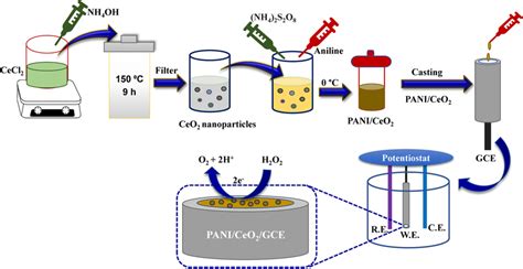 Schematic Illustration Of Pani Ceo2 Synthesis And The Modification Of