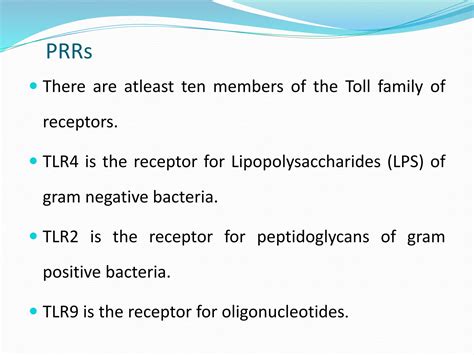 Pathogen Associated Molecular Patterns Pamps 2024 Notespptx