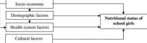 Conceptual Framework Of Nutritional Status Of School Girls Download