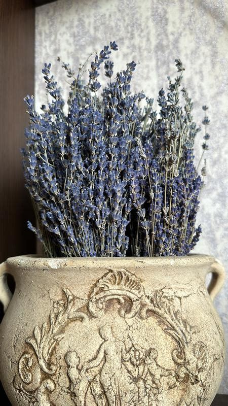 Лаванда — цена 50 грн в каталоге Искусственные цветы Купить товары для дома и быта по доступной