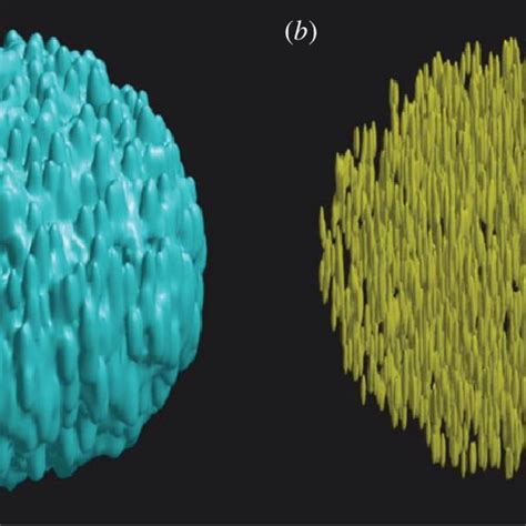 Pdf Gpu Accelerated Real Time Reconstruction In Python Of Three Dimensional Datasets From