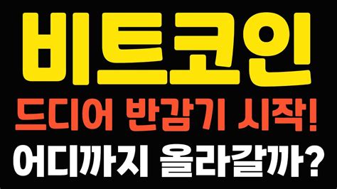 비트코인 💥드디어 반감기 시작~ 어디까지 올라갈까 본격 상승 시기는 비트코인캐시 비트코인 전망 호재 목표가 대응 코인방송 실시간 차트 분석 Youtube
