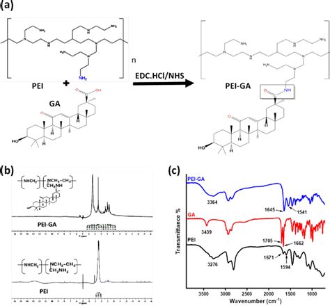 A Schematic Representation Of The Synthesis Of The Pei Ga Conjugate Download Scientific