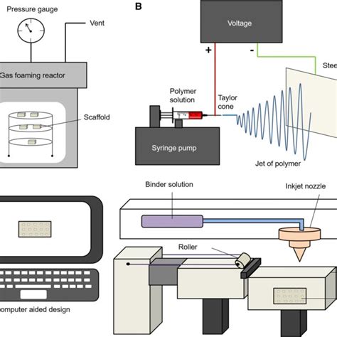 A Solvent Casting Particulate Leaching Process The Polymer Is Download Scientific Diagram